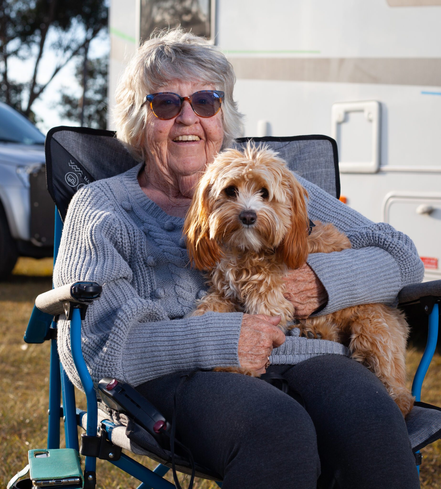 Keeping Your Furry Mate Safe on the Road: Pet Restraint Laws in ...